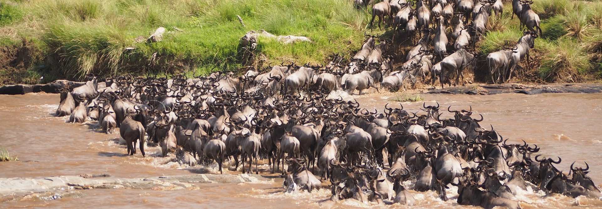 Grumeti River | Explore Serengeti's Wildlife Paradise